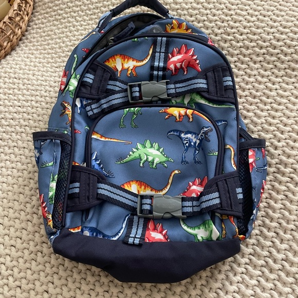 Pottery Barn Kids | Accessories | Pottery Barn Kids Dinosaur Adventure ...